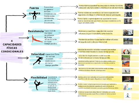 Capacidades Físicas Condicionales Pdf