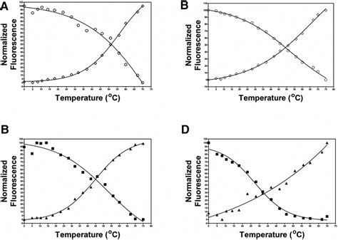 Determination Of The Secondary Structure Of Group II Bulge Loops Using The Fluorescent Probe