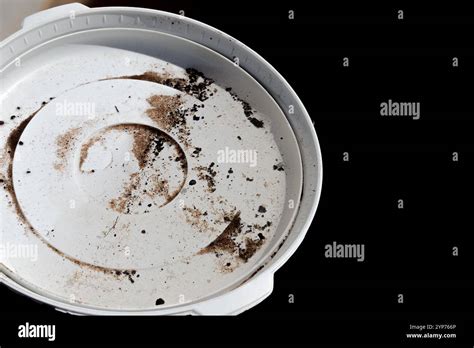 The Location Could Be A Potential Focus For Larvae Of The Aedes Aegypti