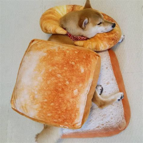 собакен смешные картинки и другие приколы комиксы гиф анимация видео лучший