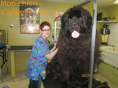 Big Women Porn Pictures Xxx Photos Sex Images 1085214 Pictoa