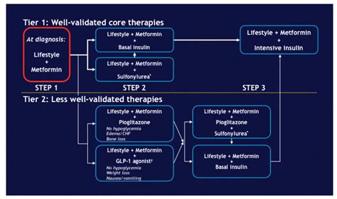 Treatment Algorithm From The American Diabetes Association ADA And