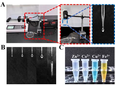 利用微流控电喷雾技术制备具有不同金属离子的交联海藻酸钠微球