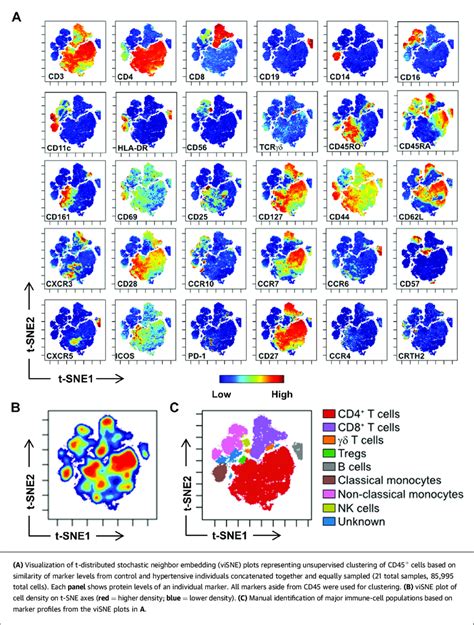 Mass Cytometry Using A Panel Of 31 Cell Surface Markers Identifies Download Scientific Diagram