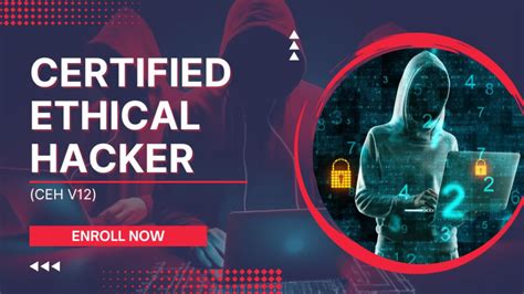 Pm Certified Ethical Hacker V Thumb