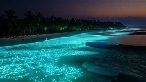 航拍素材 蚂蚁素材网