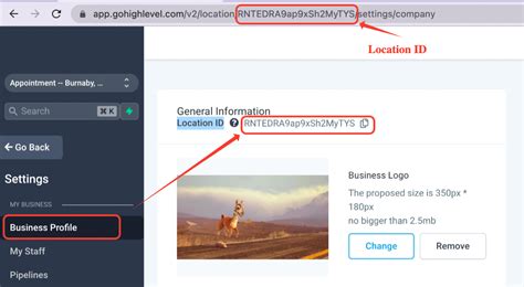 A2p 10dlc Brand Approval Best Practices Highlevel Support Portal