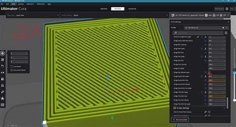 Second Third Skin Flow Setting Not Respected · Issue 13996