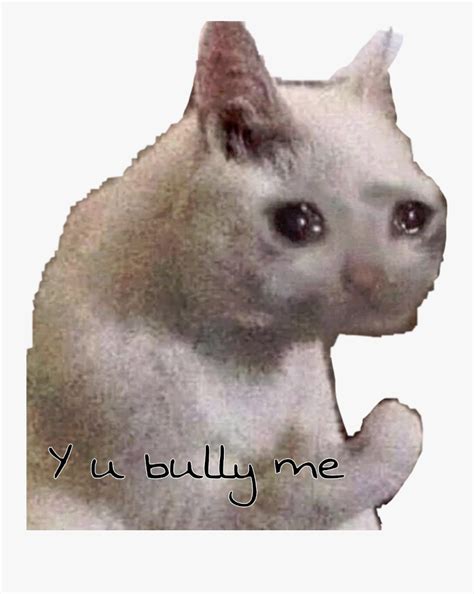 Really Sad Cat Meme