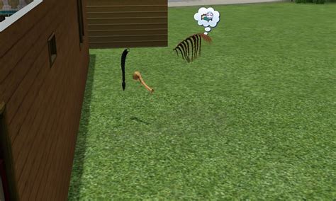 Kinkyworld Weirdness Just For Fun The Sims 3 General Discussion