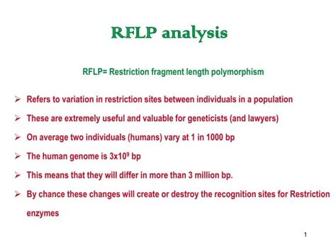 Ppt Rflp Analysis Powerpoint Presentation Free Download Id681395