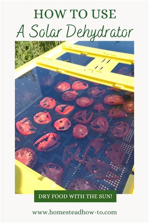 How To Use A Solar Dehydrator Homestead How To