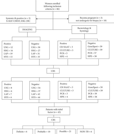 Diagnostic Algorithm For Fgtb Esr Erythrocyte Sedimentation Rate