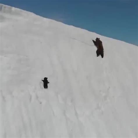 Muhammad Tayyab Riaz On Linkedin Persistence Mentorship Teaching Resilience Determination