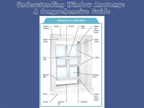 Understanding Window Anatomy A Comprehensive Guide