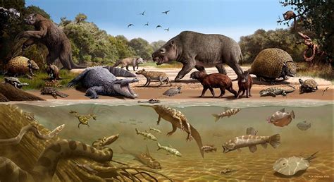 Pin By Em On Animales Del Cenozoico Y El Pleistoceno Prehistoric