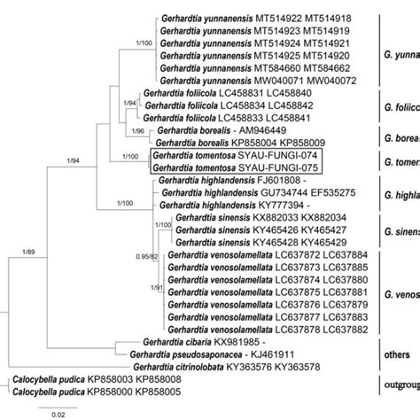 Figure Ml And Bi Analysis Of Gerhardtia Based On Its And Nrlsu