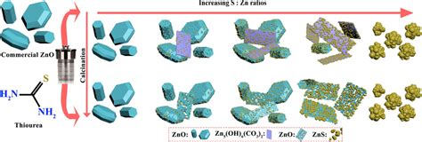 Schematic Illustration Of Hydrothermal Growth And Controlled Download Scientific Diagram
