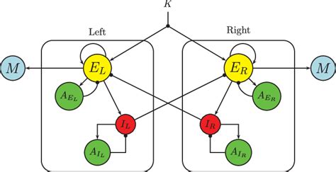 Scheme Of Connections Of An Oscillatory Neural Network Of Two Coupled