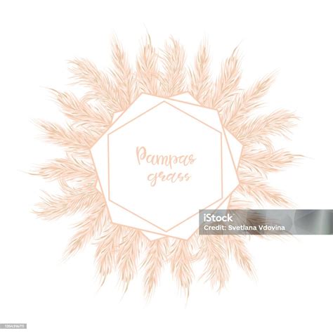 드라이 팜파 잔디 부드러운 프레임 결혼식 초대장 또는 엽서 0명에 대한 스톡 벡터 아트 및 기타 이미지 0명 가을 가지별 꽃송이 Istock