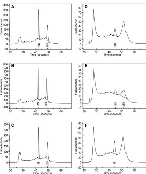Comparison Of Extracted Rna Of Rnalater Immersed And Formalin Fixed Download Scientific Diagram