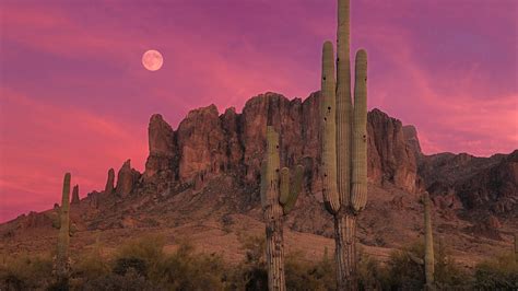 Arizona Hd Wallpaper 61 Images