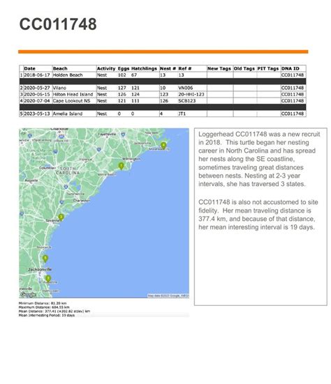 Turtle Talk Tuesday More About Genetic Testing The County Insider