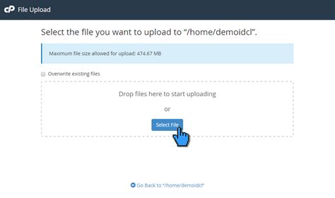 How To Upload Website Files To Hosting In Cpanel Id Support Portal