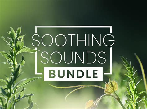 What Are Binaural Beats Binaural Music How To Get Some