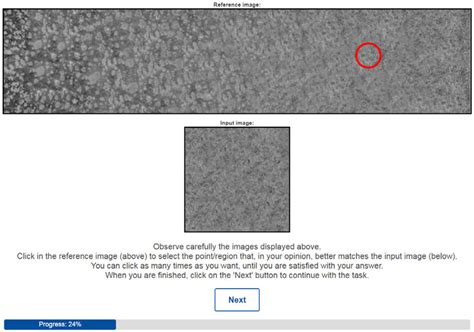 Experimental Interface For The Formulation Of Perceptual Similarity Download Scientific Diagram