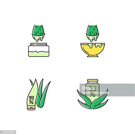 알로에 베라 녹색 색상 아이콘 설정 잘라 즙이 많은 잎에서 주스 얇게 썬 선인장 가시에서 액체 순수 식물 기반 화장품 천연 크림 패키지 격리된 벡터 일러스트레이션 0명에