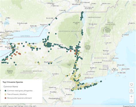 Spotting The Spotted Lanternfly Information Visualization