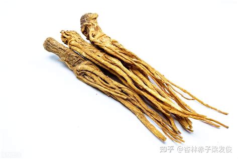 有一种肾虚叫脾肾两虚送你一个中成药脾肾双补气血同调 知乎