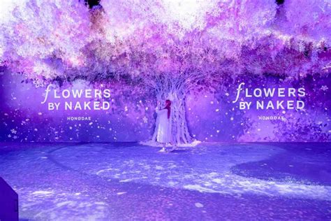 홍콩 인기 전시회 UOB Kay Hian이 선보이는 NAKED FLOWERS 빛과 그림자 전시회 KKday