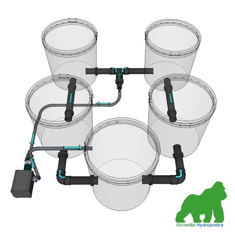 Rdwc W Flow Growrilla Hydroponics