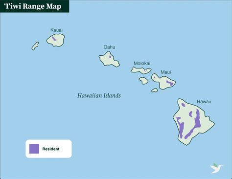 ‘i‘iwi American Bird Conservancy