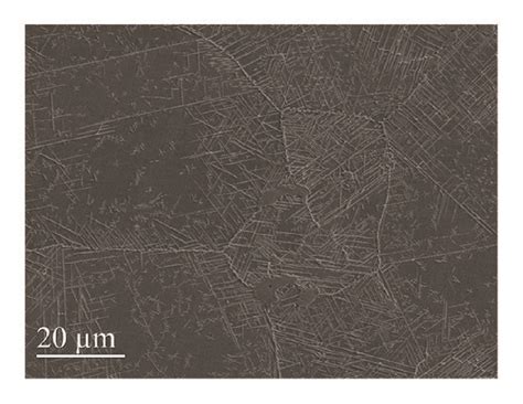 Microstructure Of Alloy 625 After Aging Sensitization For Different Download Scientific Diagram