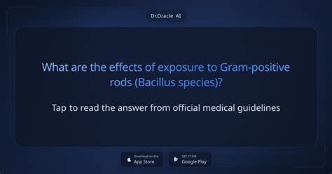 What Are The Effects Of Exposure To Gram Positive Rods Bacillus Species