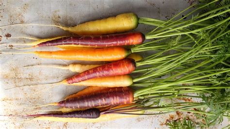 Root Vegetables List 15 Favorites With Pictures
