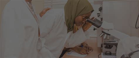 Apply For Transcript University Of Ilorin