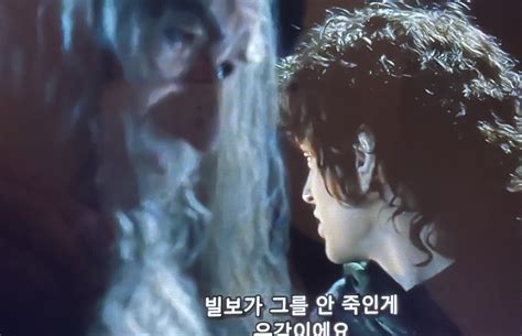 [반지의 제왕] 반지 원정대 간달프의 통찰력 유머 움짤 이슈 에펨코리아