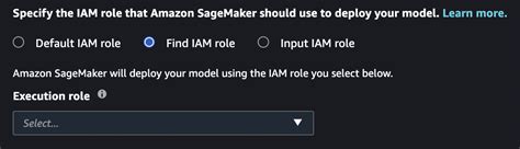 Deploy A Model Amazon SageMaker AI