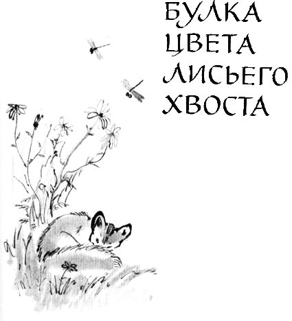 Булка цвета лисьего хвоста (fb2) | Флибуста