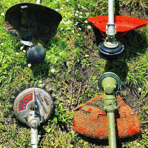 Rotary Scissors Vs String Trimmer Cutting Technique Revealed