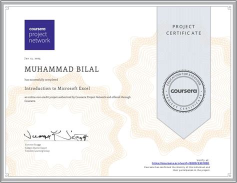 Excelskills Datavisualization Continuouslearning Coursera Muhammad Bilal
