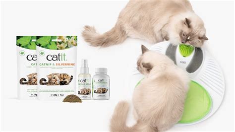 Catit Catnip Qanda Catit