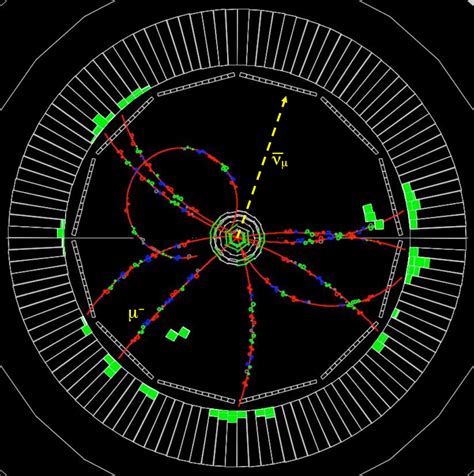 Physicists Discover A Possible Break In The Standard Model Of Physics