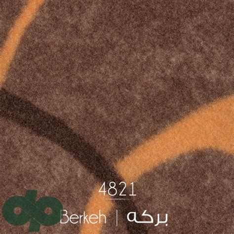 مشخصات، قیمت و خرید ظریف مصور برکه 4821