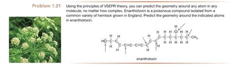 solved problem 1 21 using the principles of vsepr theory