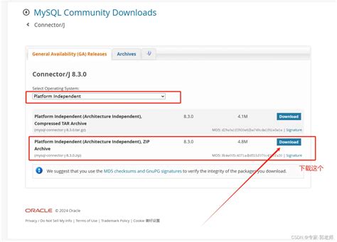 【java基础篇教学】第十六篇：java连接和操作mysql数据库 阿里云开发者社区